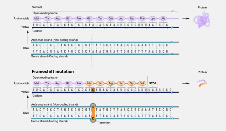 Bioinformatics and Data Science